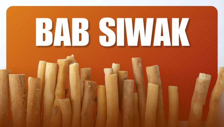 Siwak : Sunnah yang Hampir Terlupakan, Namun Besar Pahalanya ...